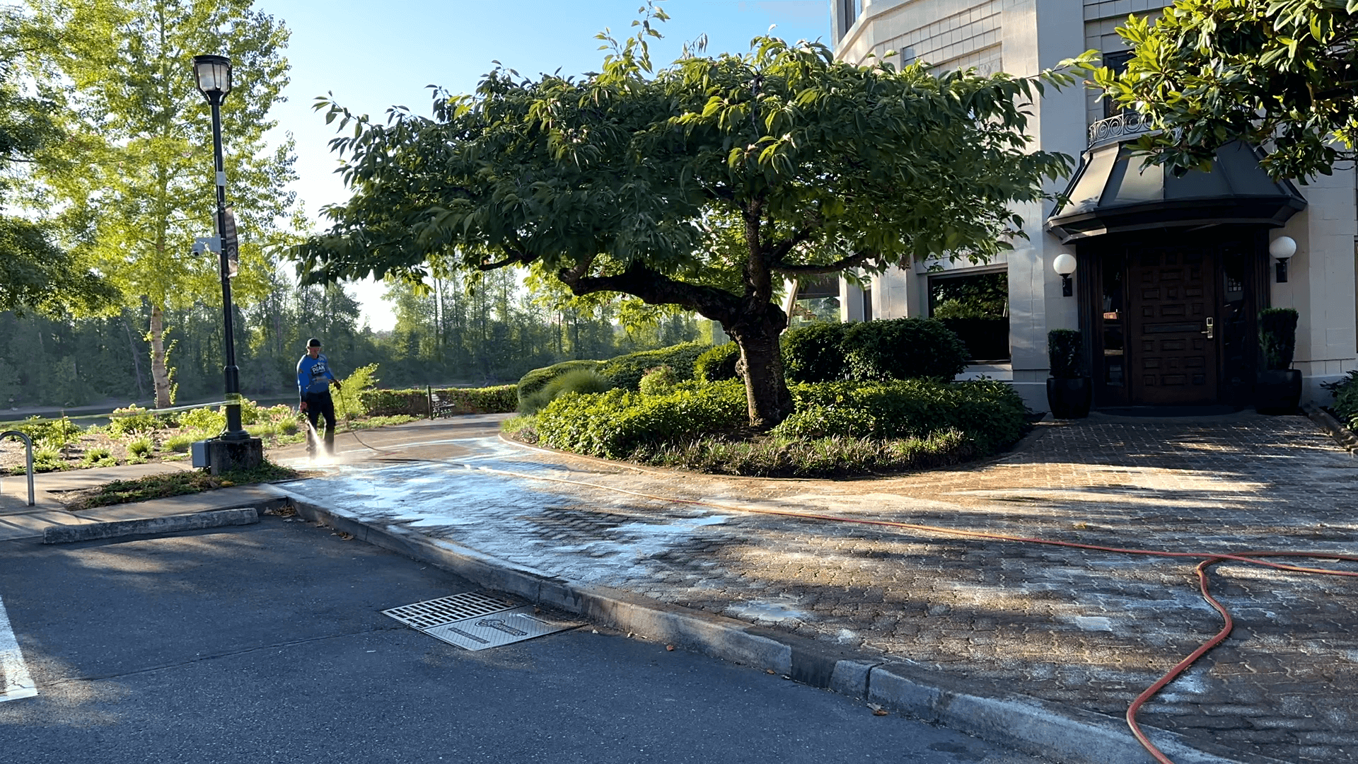 Why Proper Paver Sealing and Sanding Is Essential for Long-Lasting Curb ...
